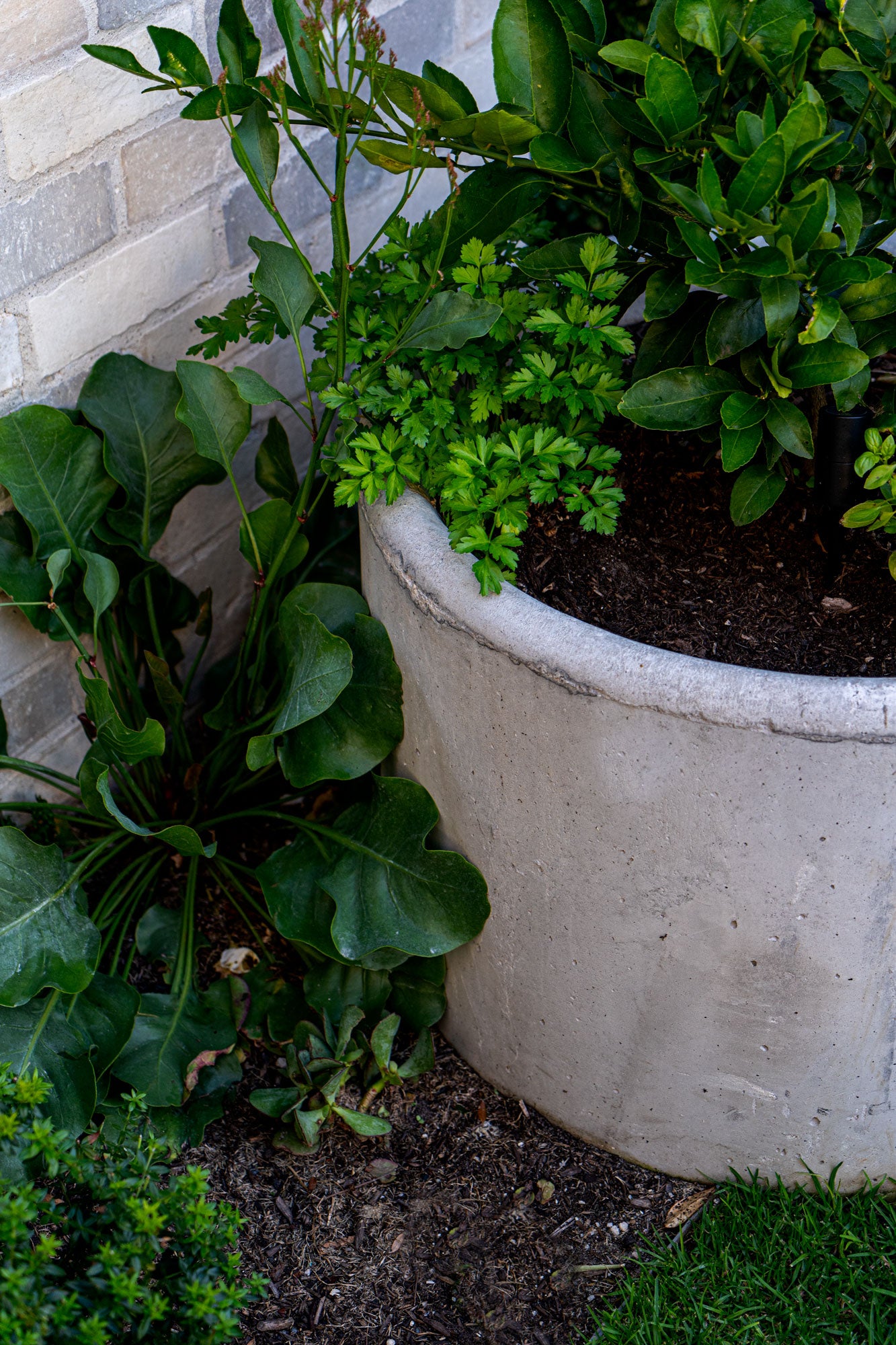 Concrete Planter - Medium – Mangoni Family Merchants